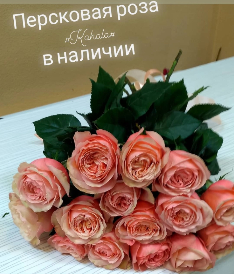 Купить «Пионовидная Роза кахала» с доставкой в Чите - «Flowers World»