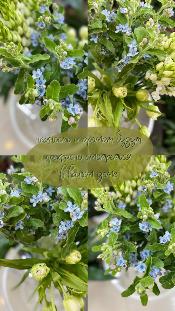 Купить «Незабудки» с доставкой в Чите - «Flowers World»